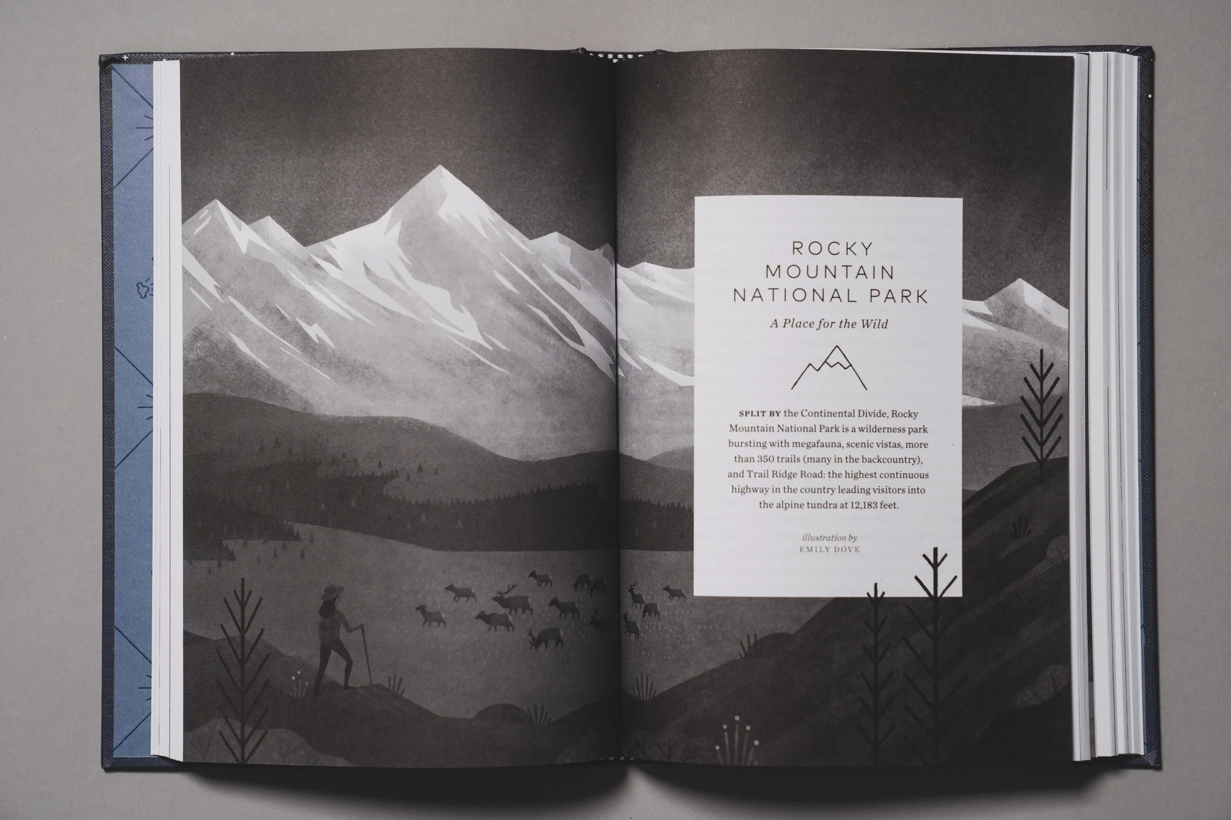 Campfire Stories Volume I — Campfire Stories