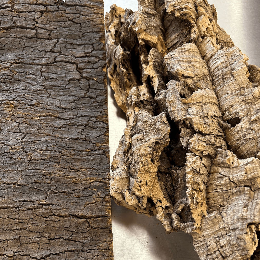 Where Does Cork Come From? — Jelinek Cork Group®