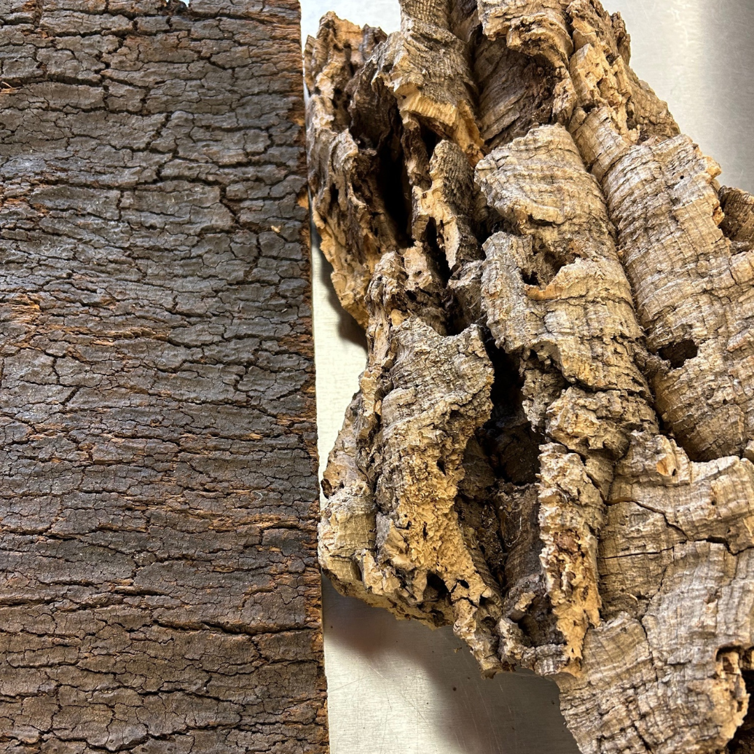 Where Does Cork Come From? — Jelinek Cork Group®