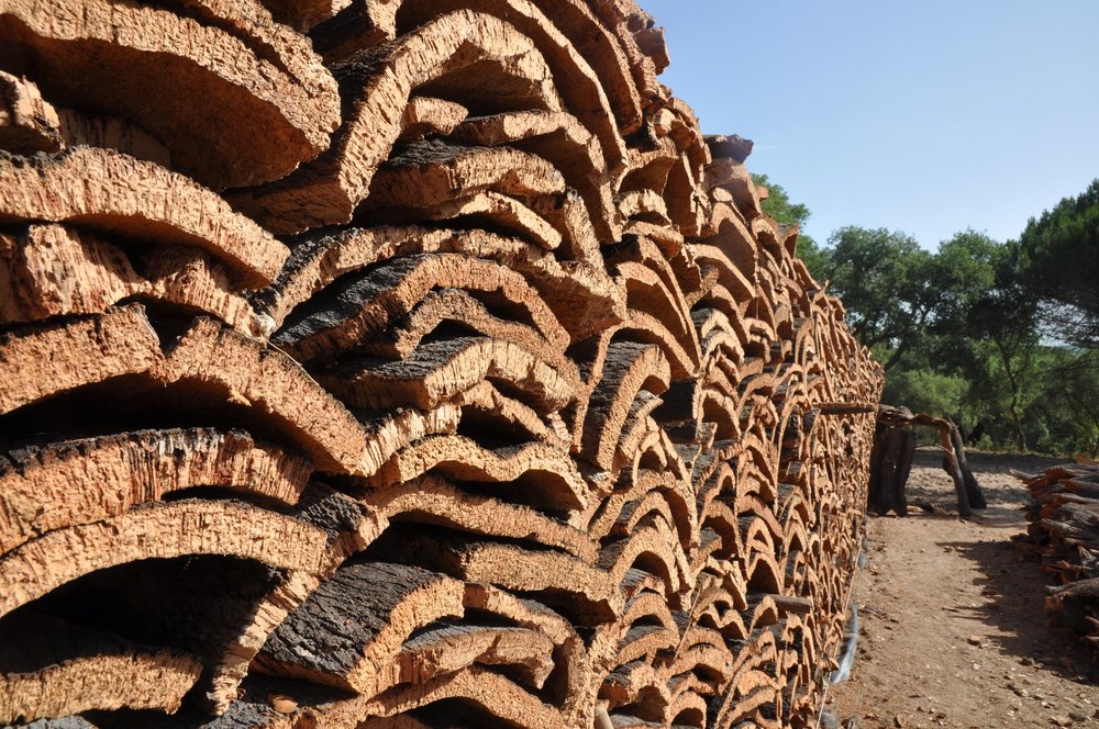 The Cork Harvest Process — Jelinek Cork Group®