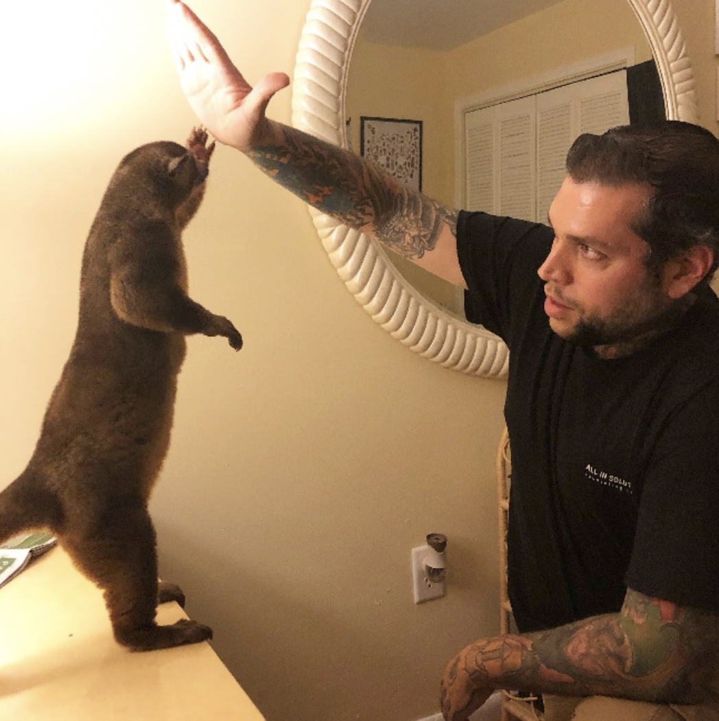 Meet Our Team - Kinkatopia - Kinkajou Sanctuary in Florida