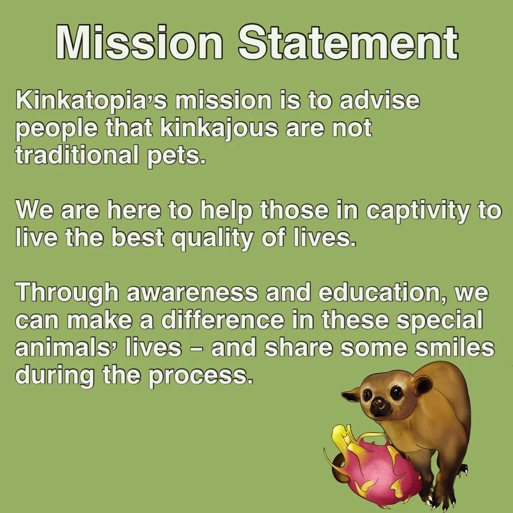 Kinkajous at Kinkatopia – Kinkajou Organization in Florida