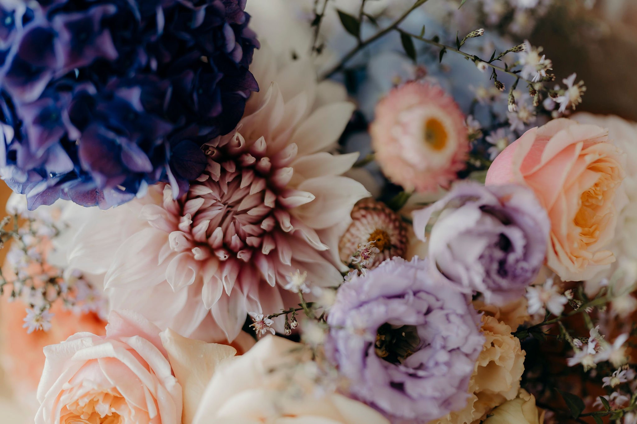 Estelle Flowers | Florist shop & flower delivery in Dunedin, NZ