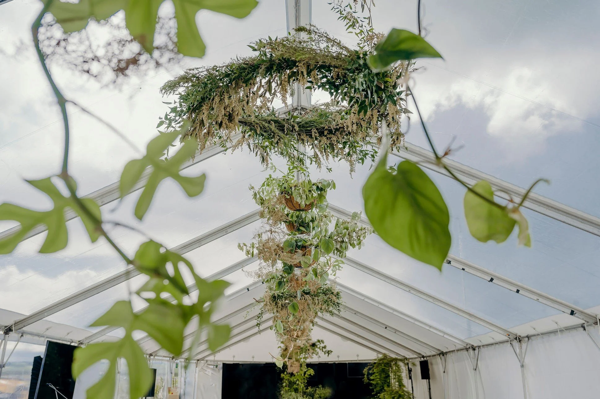 Estelle Flowers | Florist shop & flower delivery in Dunedin, NZ