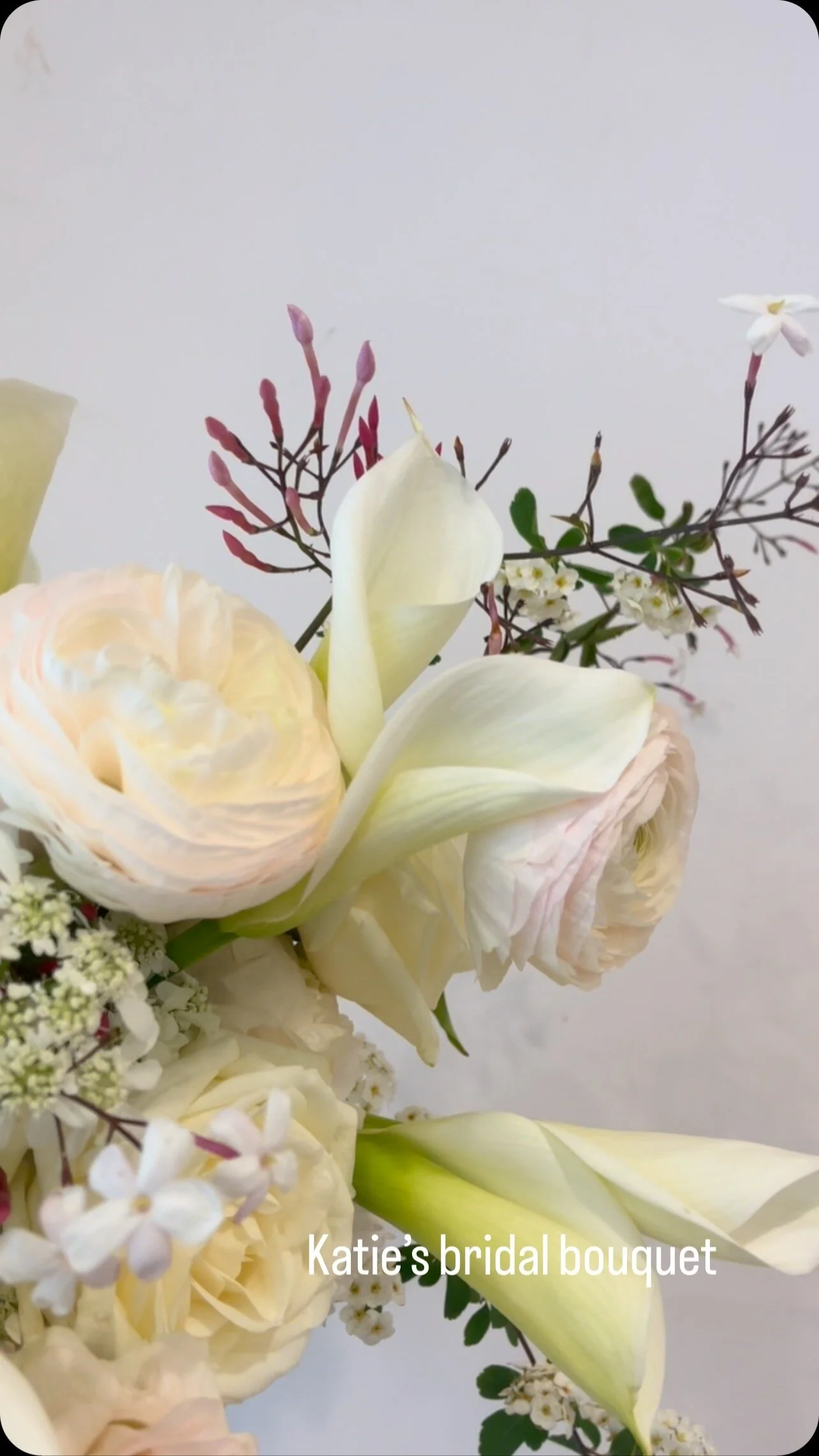 Estelle Flowers | Florist shop & flower delivery in Dunedin, NZ