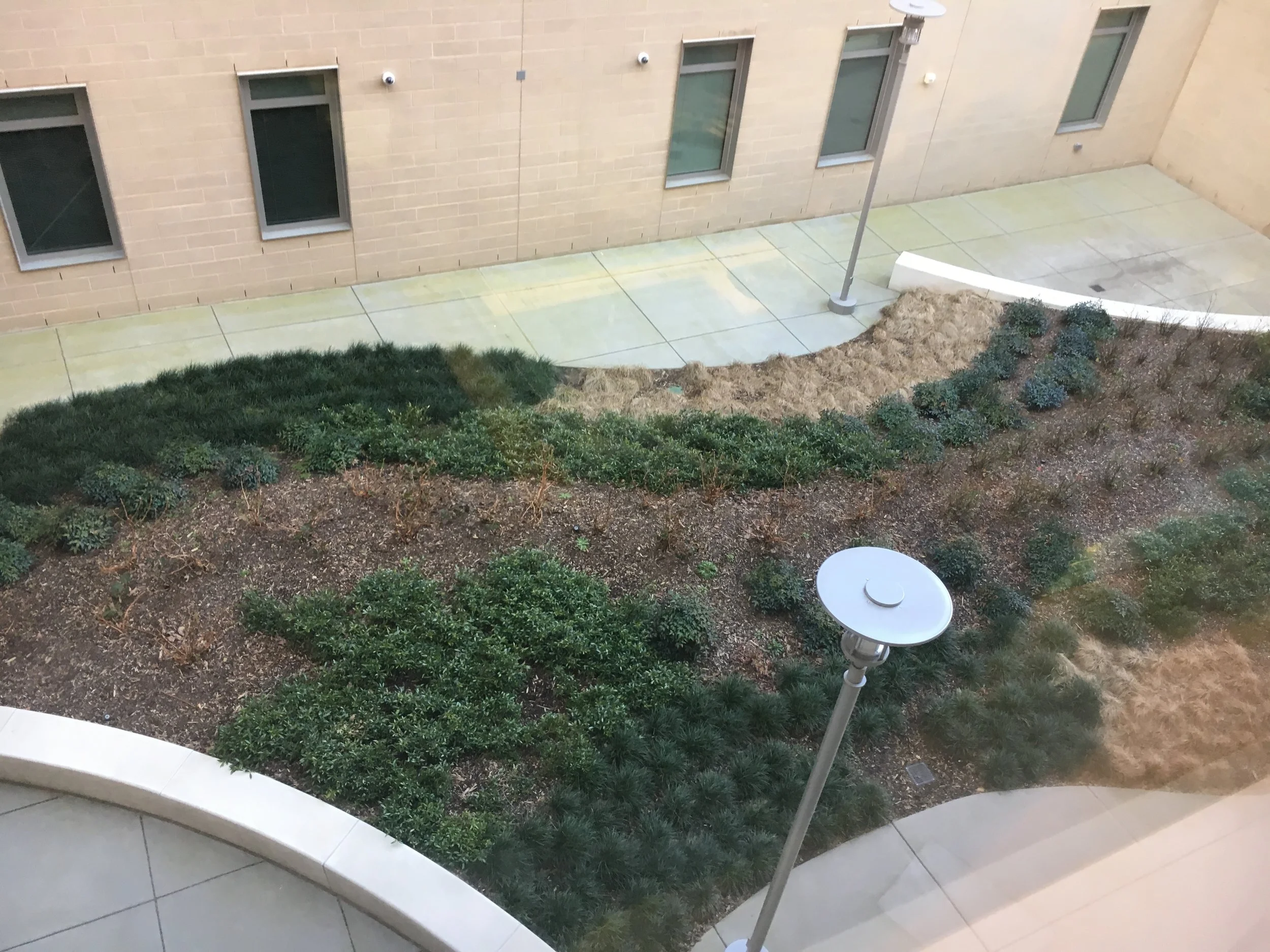 New Broughton Hospital — Catalpa