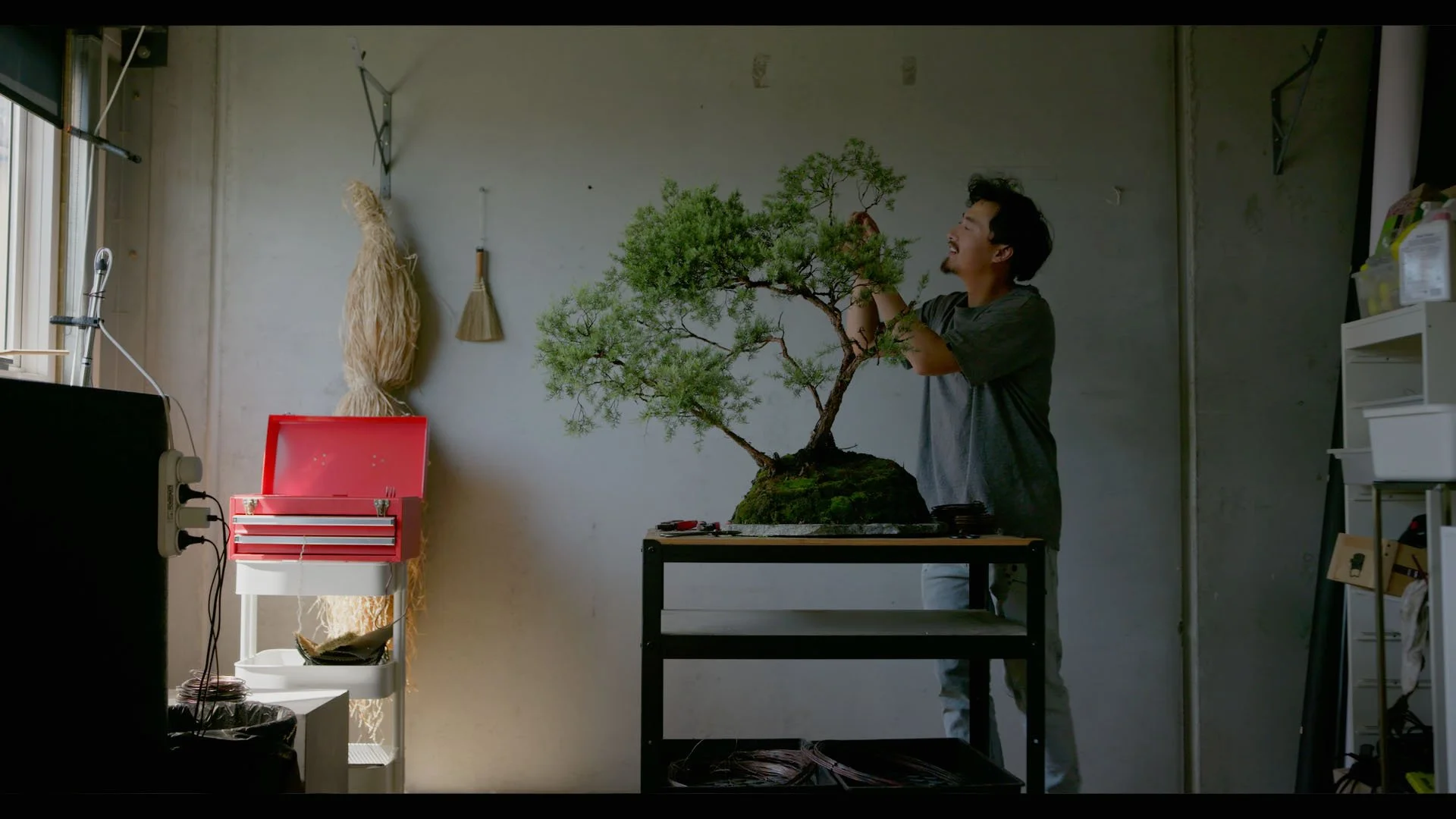 Billy Bonsai — Leap Films