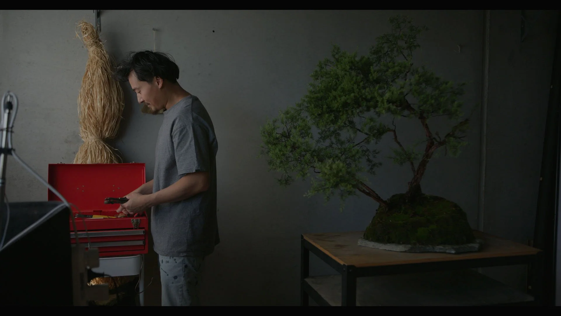 Billy Bonsai — Leap Films