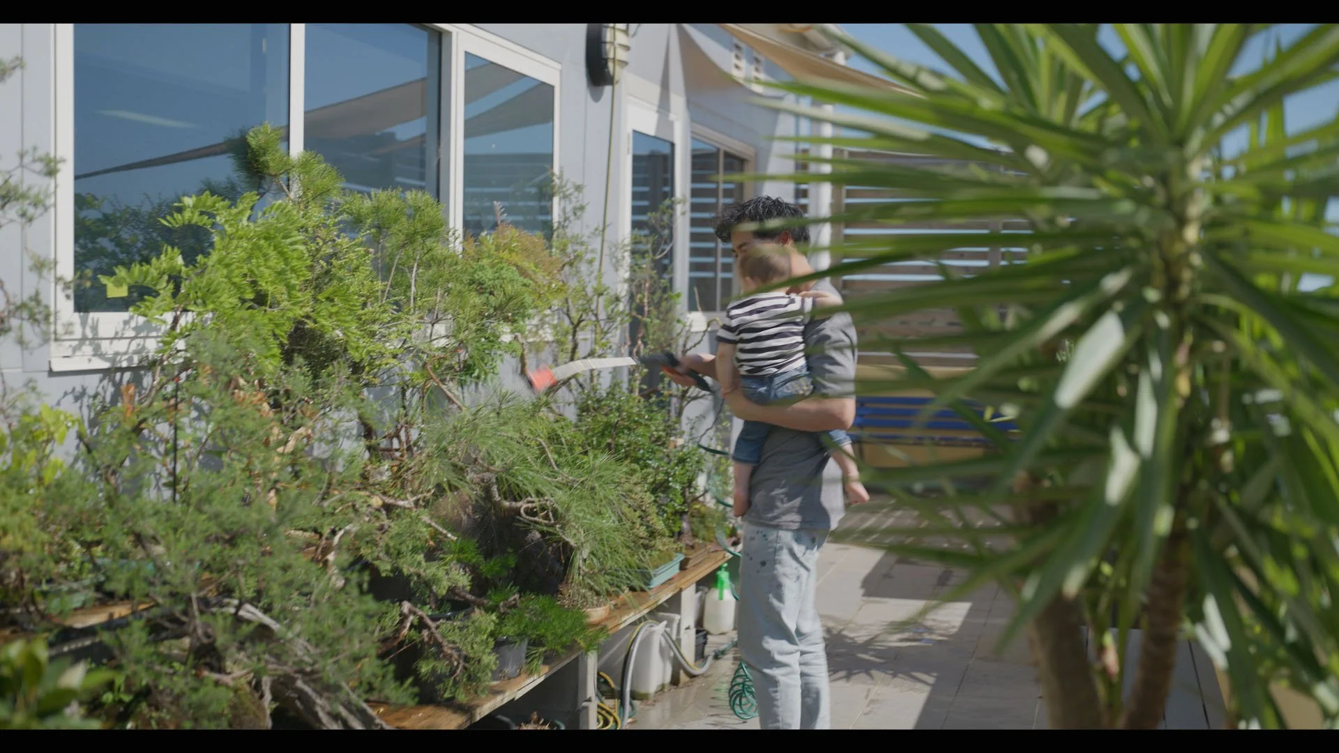 Billy Bonsai — Leap Films