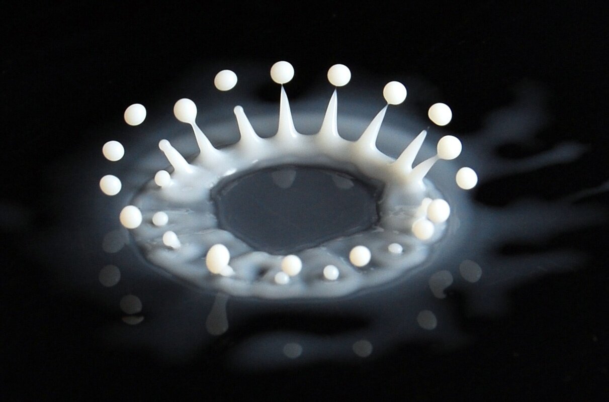 Milkdrops — Adam Libert