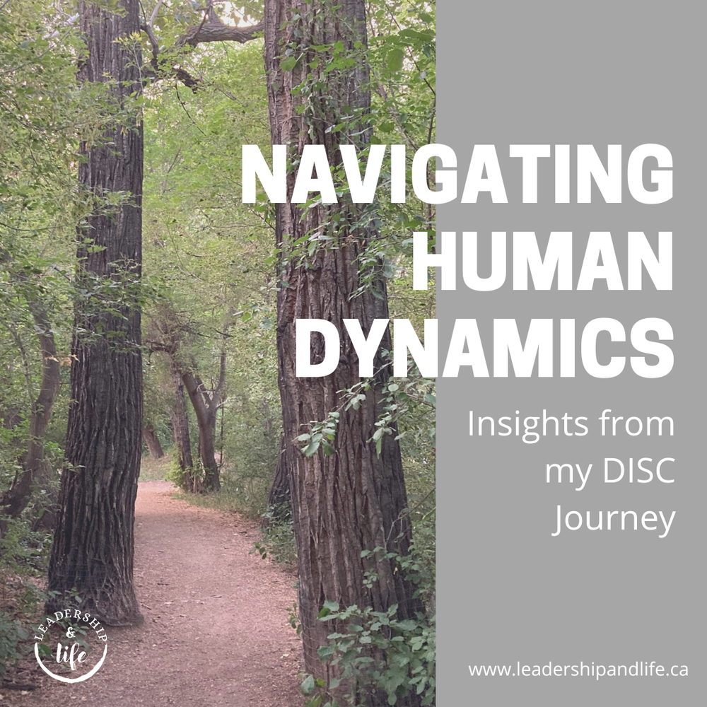 Navigating Human Dynamics: Insights from my DISC Journey — Leadership ...