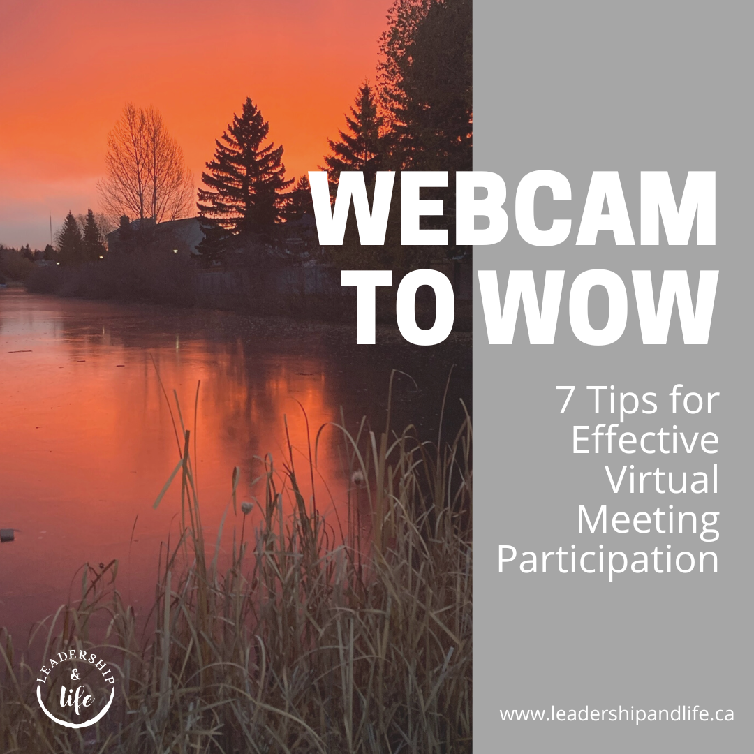 Webcam to Wow: 7 Tips for Effective Virtual Meeting Participation ...