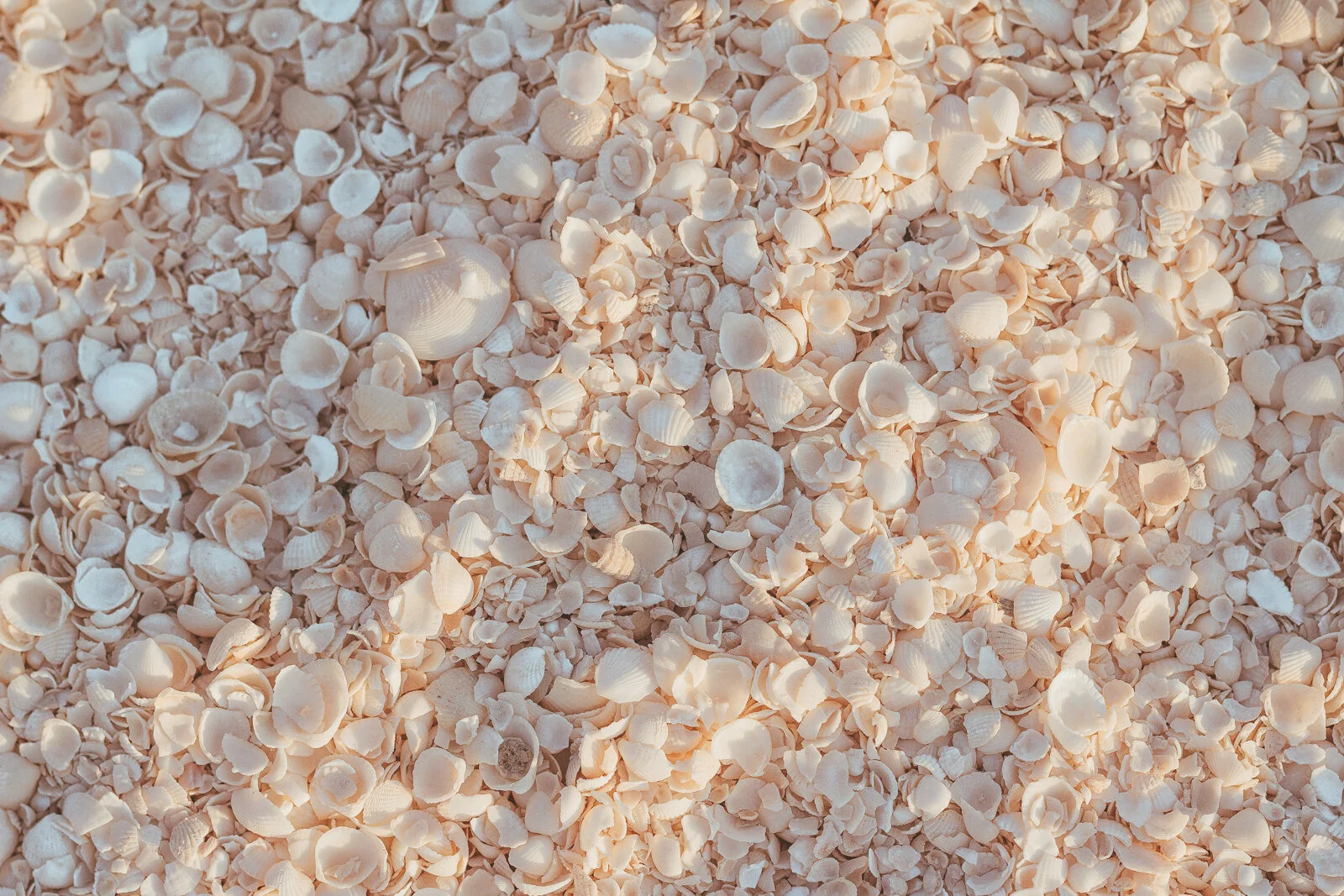 The mysterious shell beach | Australia — NAT GONE GLOBAL