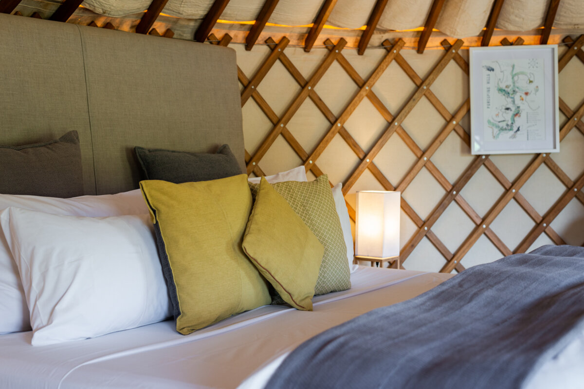 Forest View Yurt — Southern Yurts