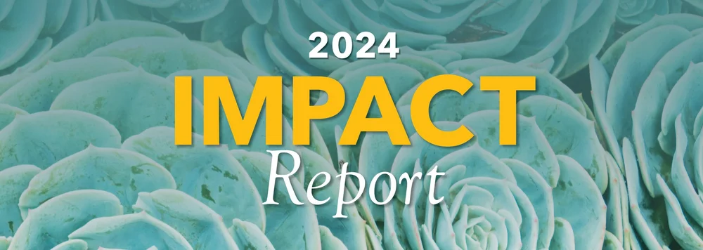 Impact Report 2024