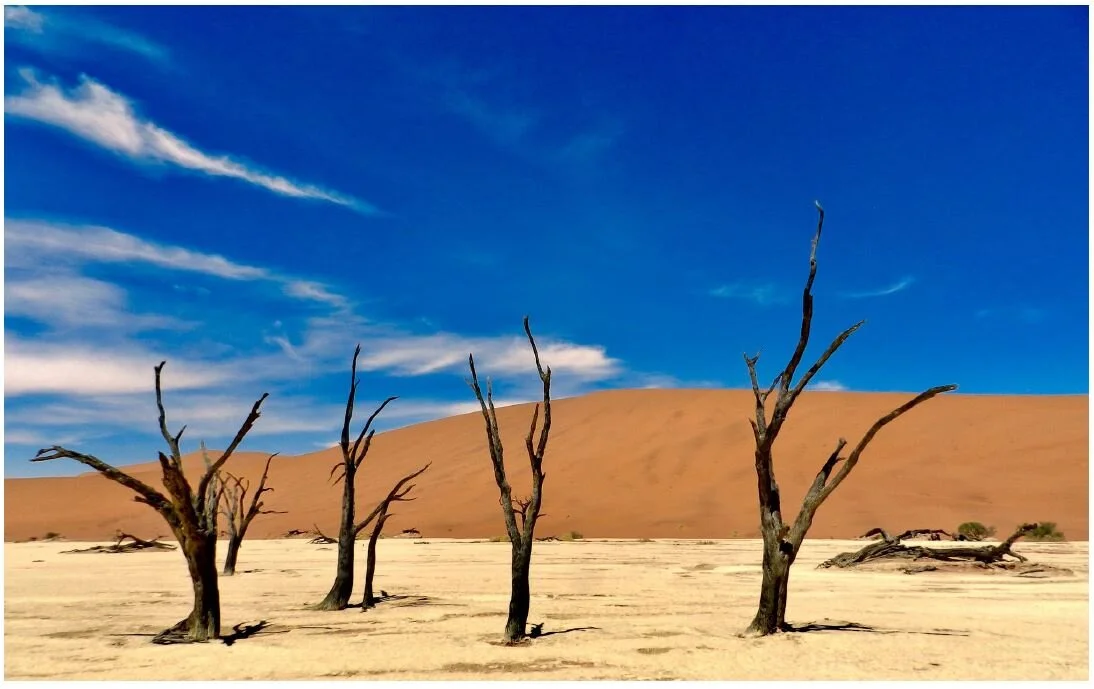 Climate Change: The Physical Risks — Zevin Asset Management