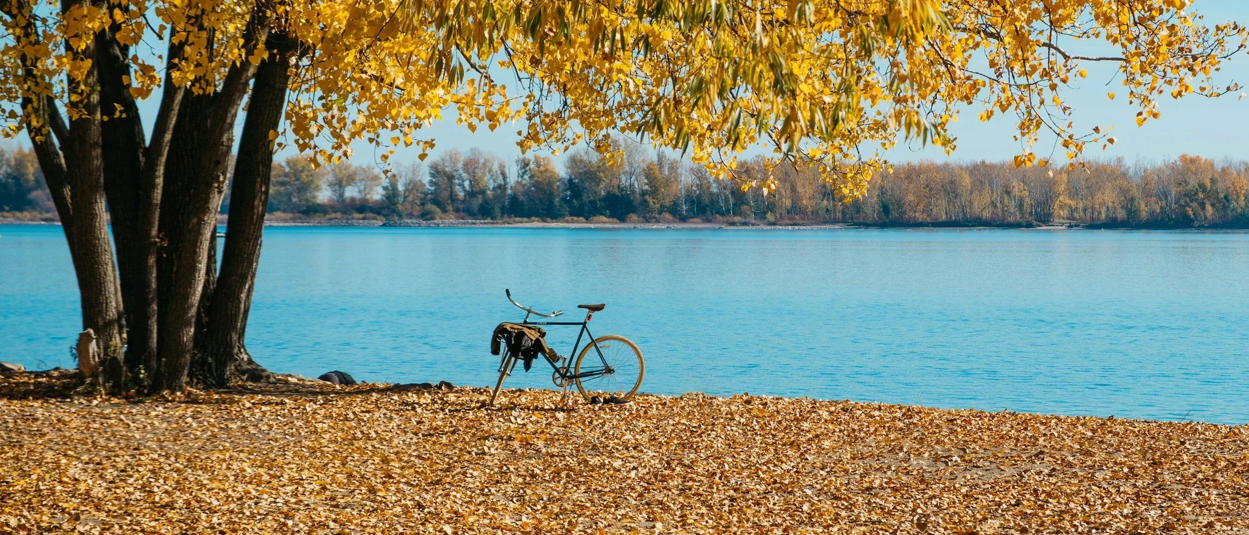 Welcome to Bike Loft