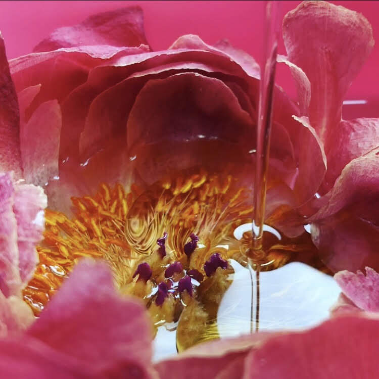 FLORA + LEE - Modern Flower Preservation