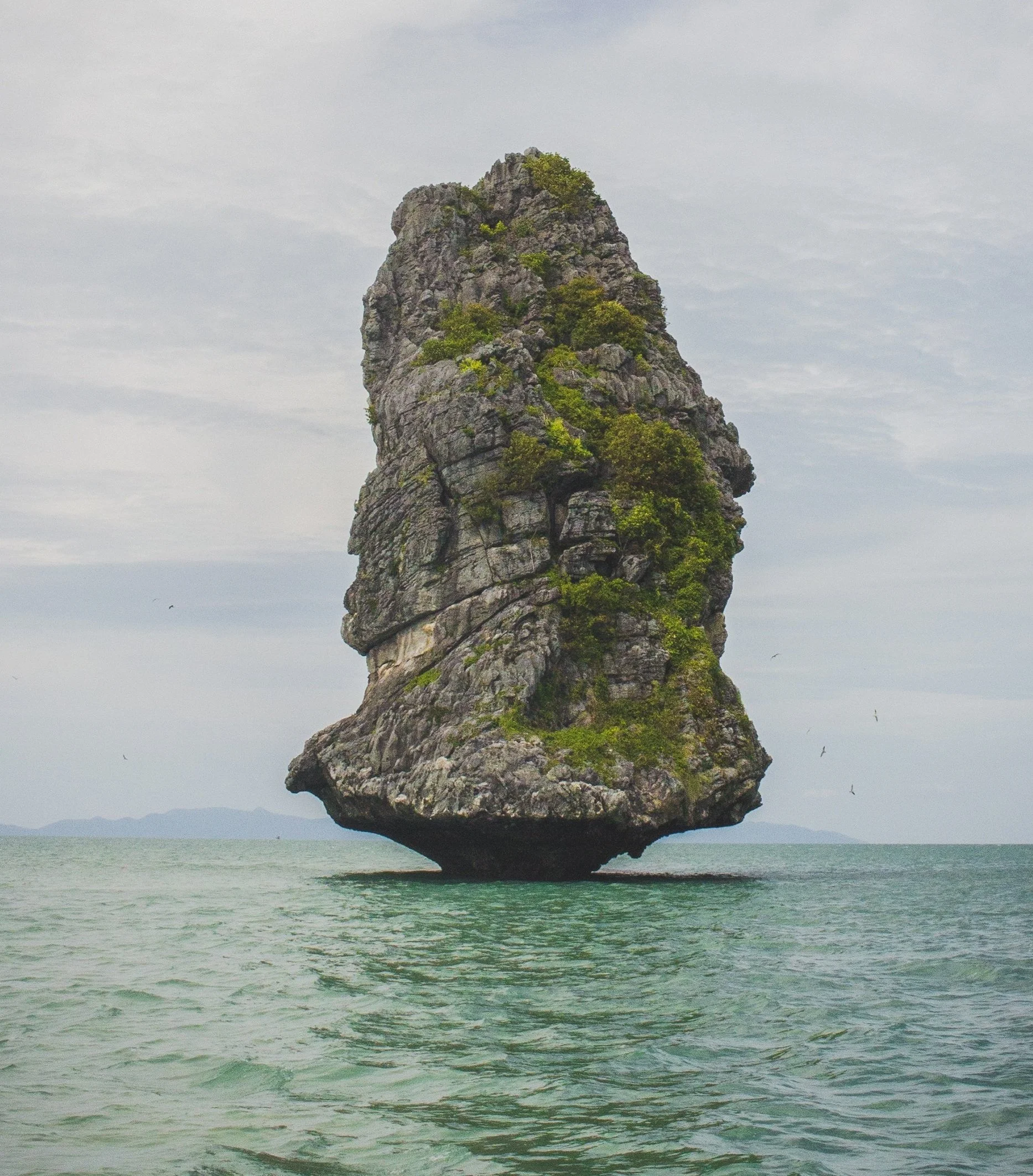 Phenomenon Science Education