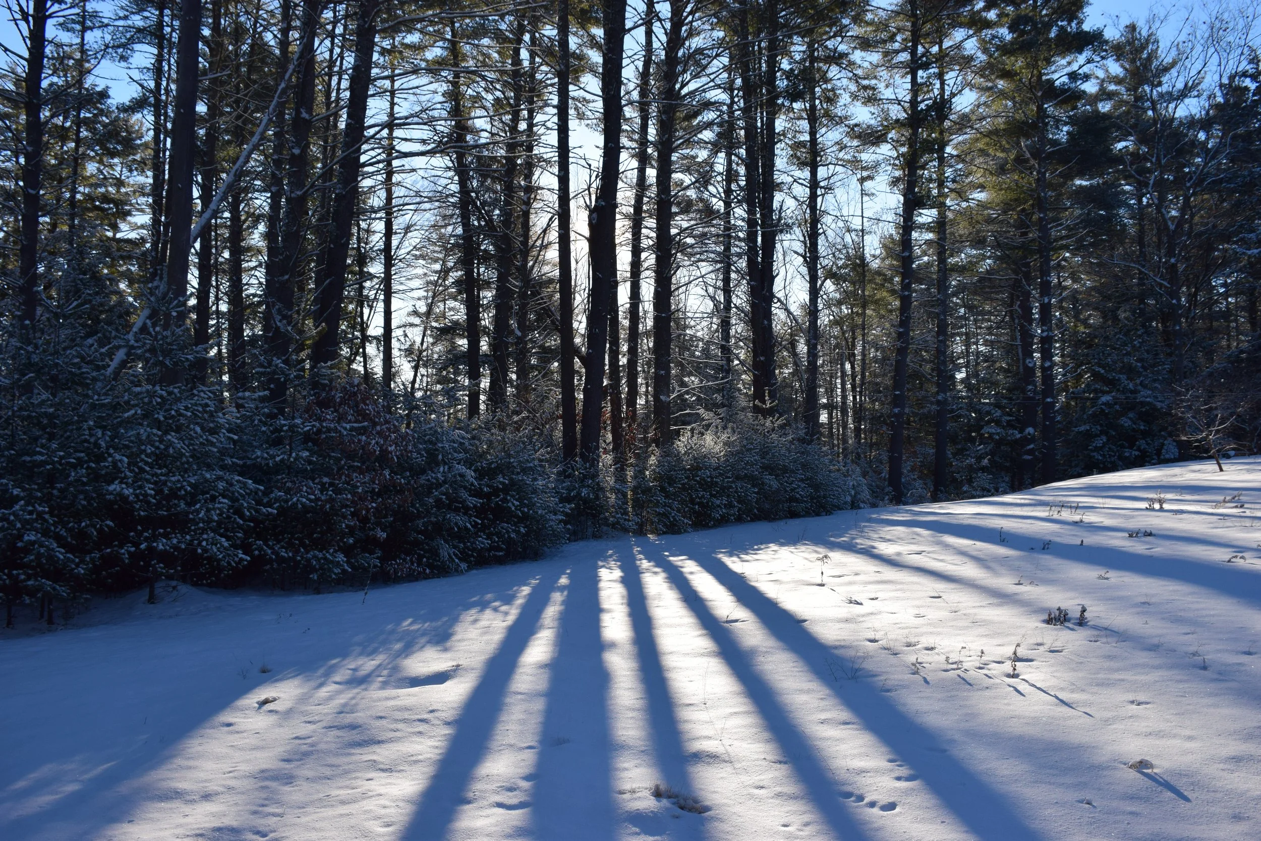 Phenomenon Science Education