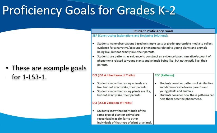 Proficiency Goals — Phenomenon Science Education