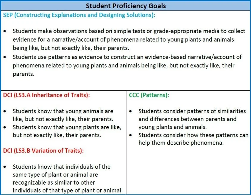 Proficiency Goals — Phenomenon Science Education