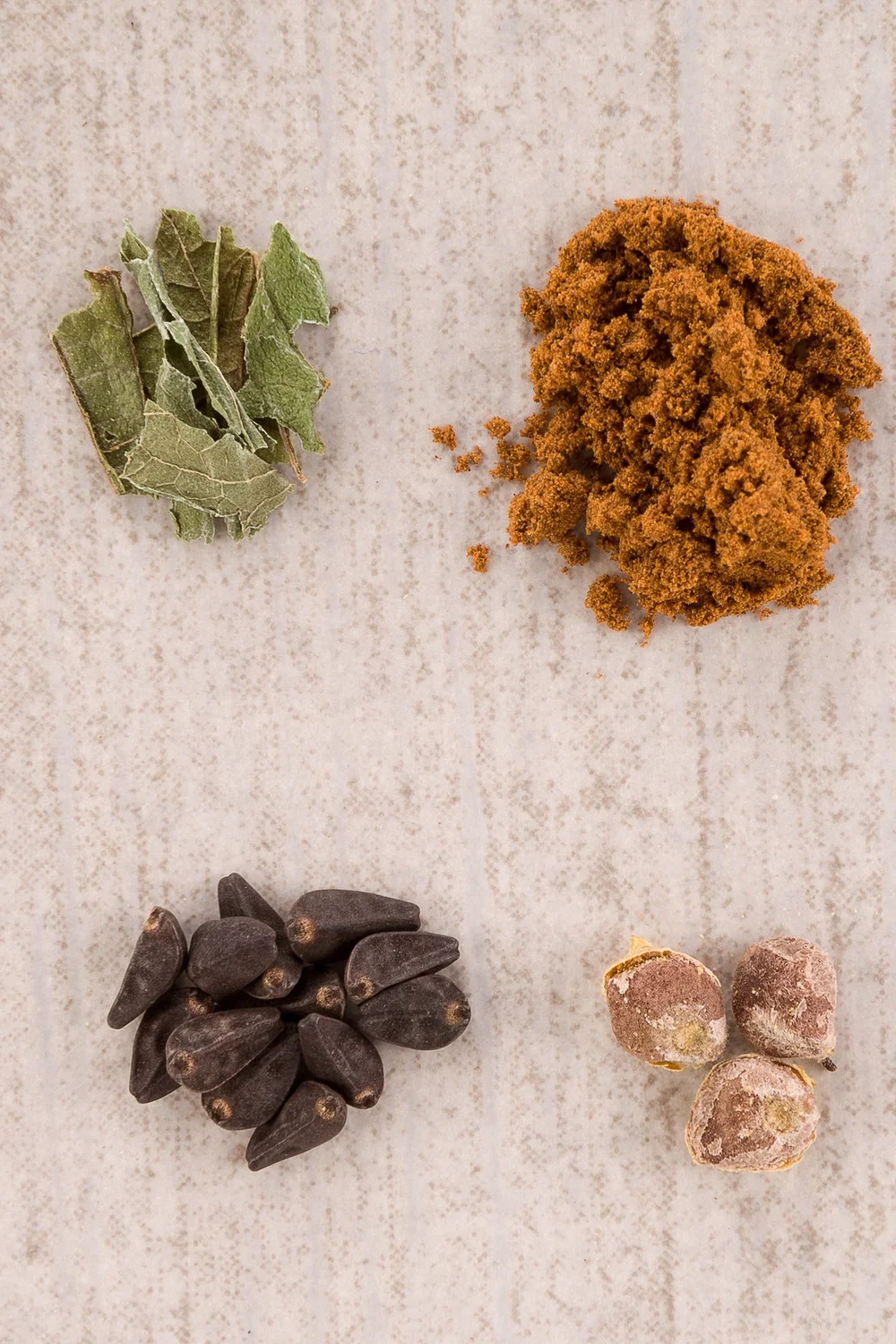 Ibogaine Drug