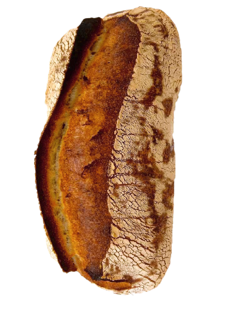 Magnol French Baking