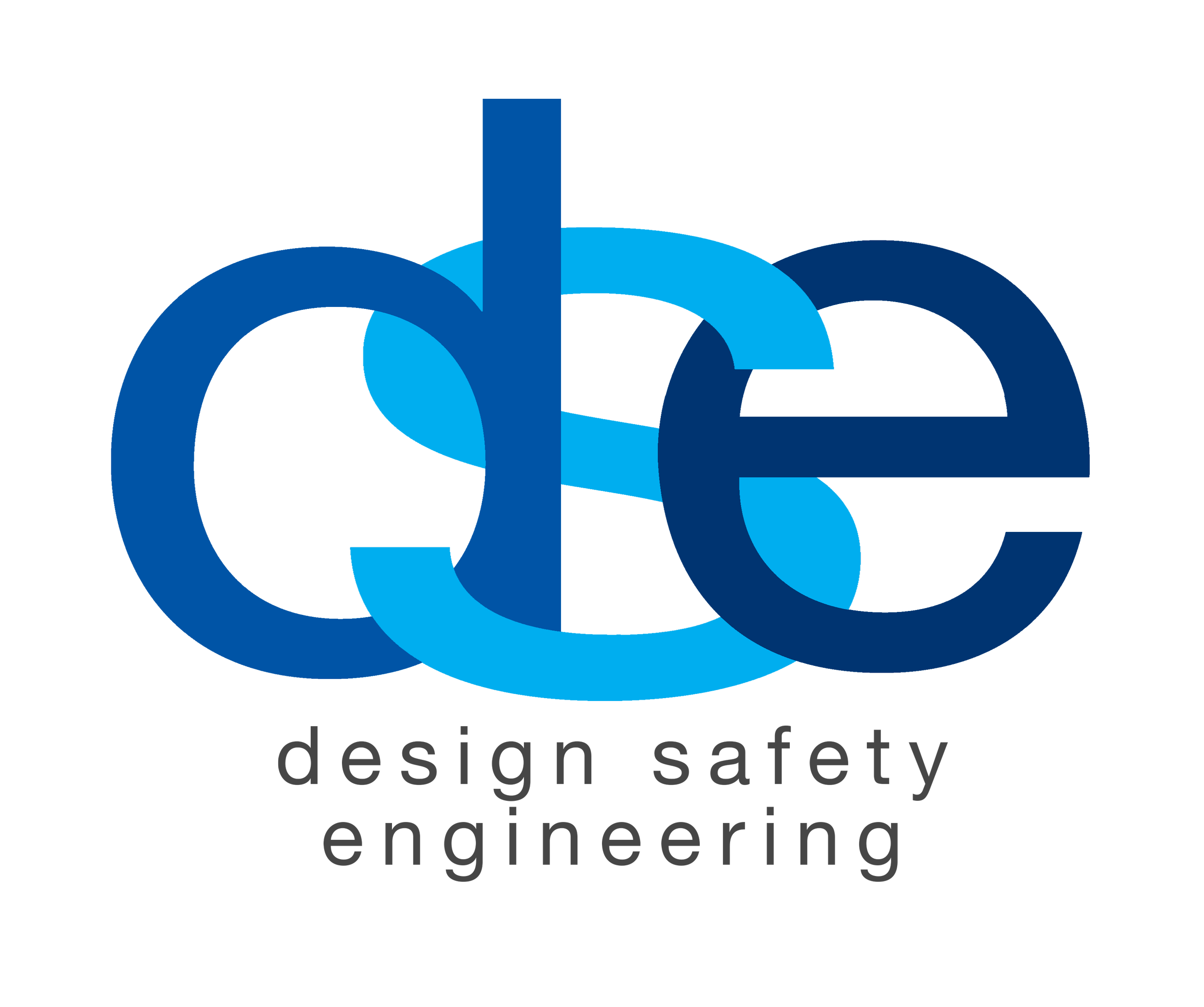Software — Design Safety Engineering, inc.