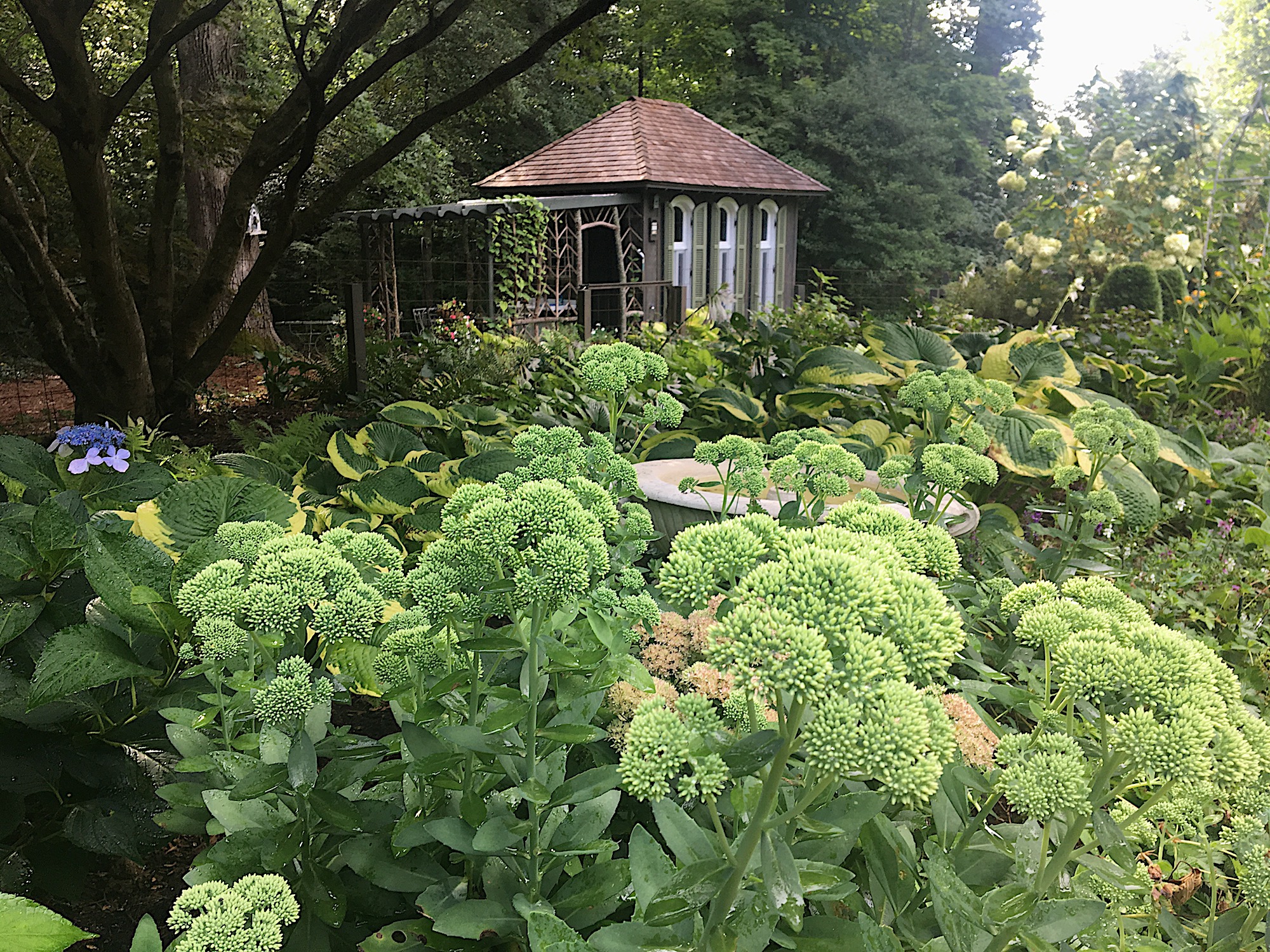 Marty Whaley's Flat Rock Garden — Flat Rock Together