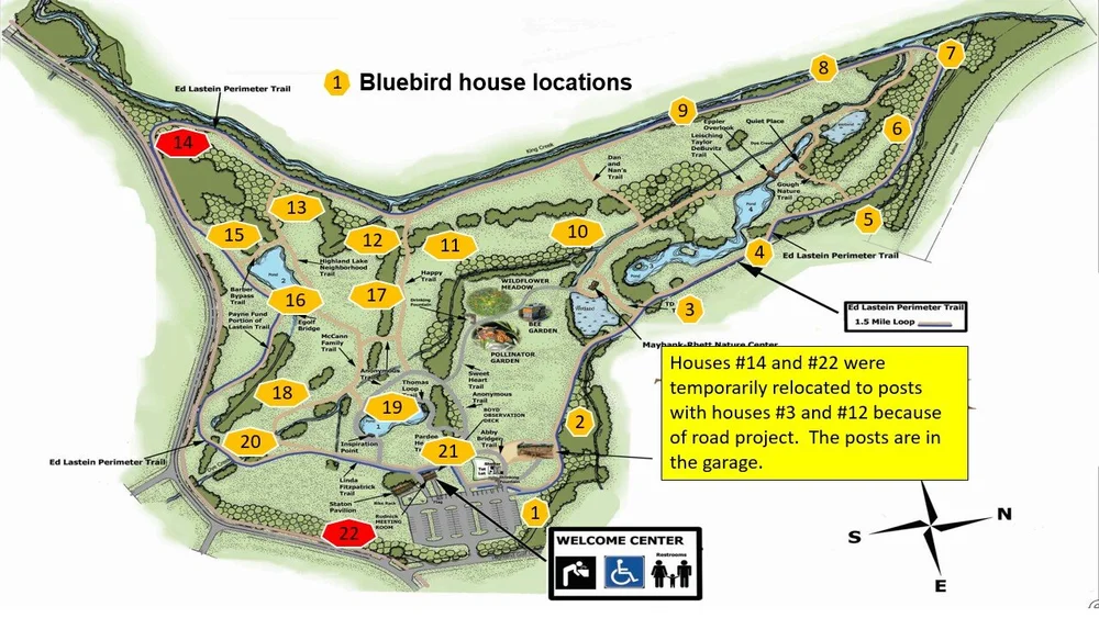 He Promised Me Bluebirds — Flat Rock Together