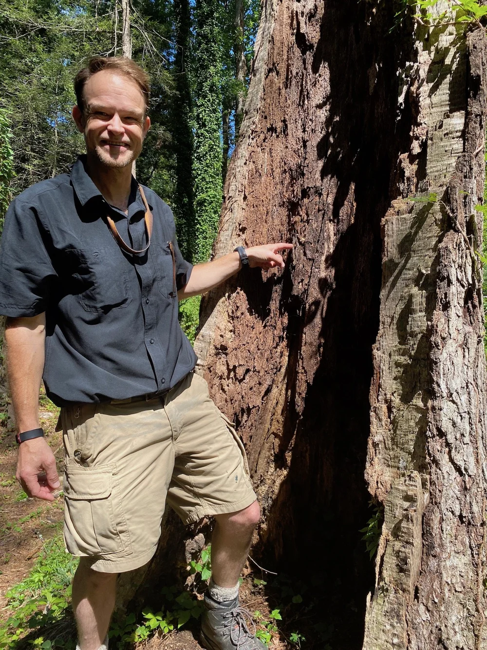 Digging into Flat Rock's History — Flat Rock Together