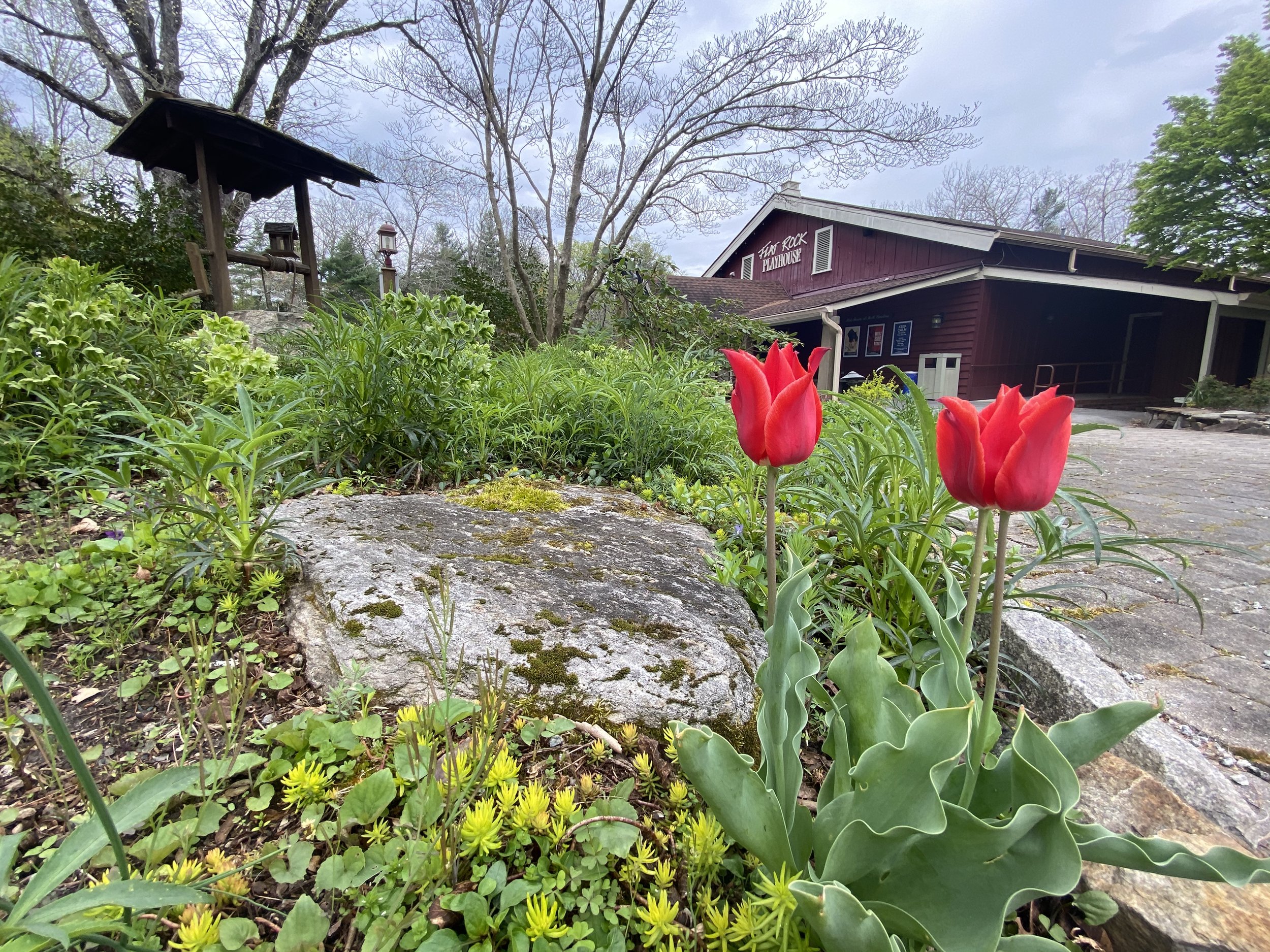 The Great Flat Rock — Flat Rock Together