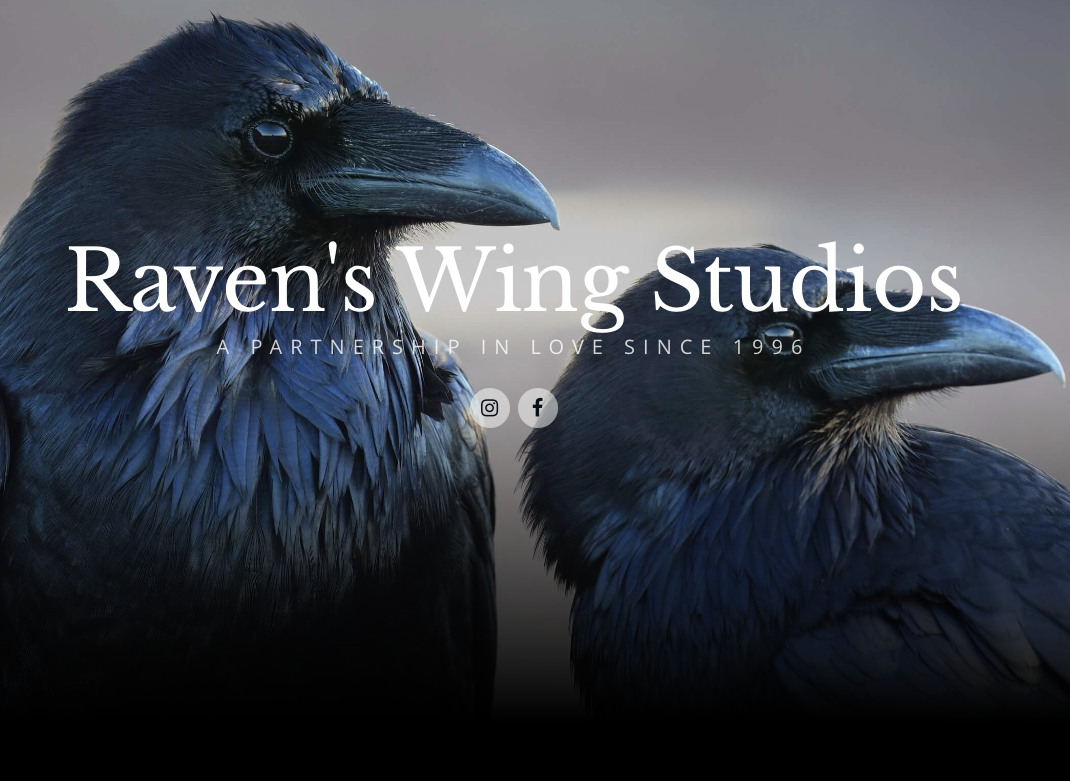 Beginning Drawing Class - Raven's Wing Studios — Flat Rock Together