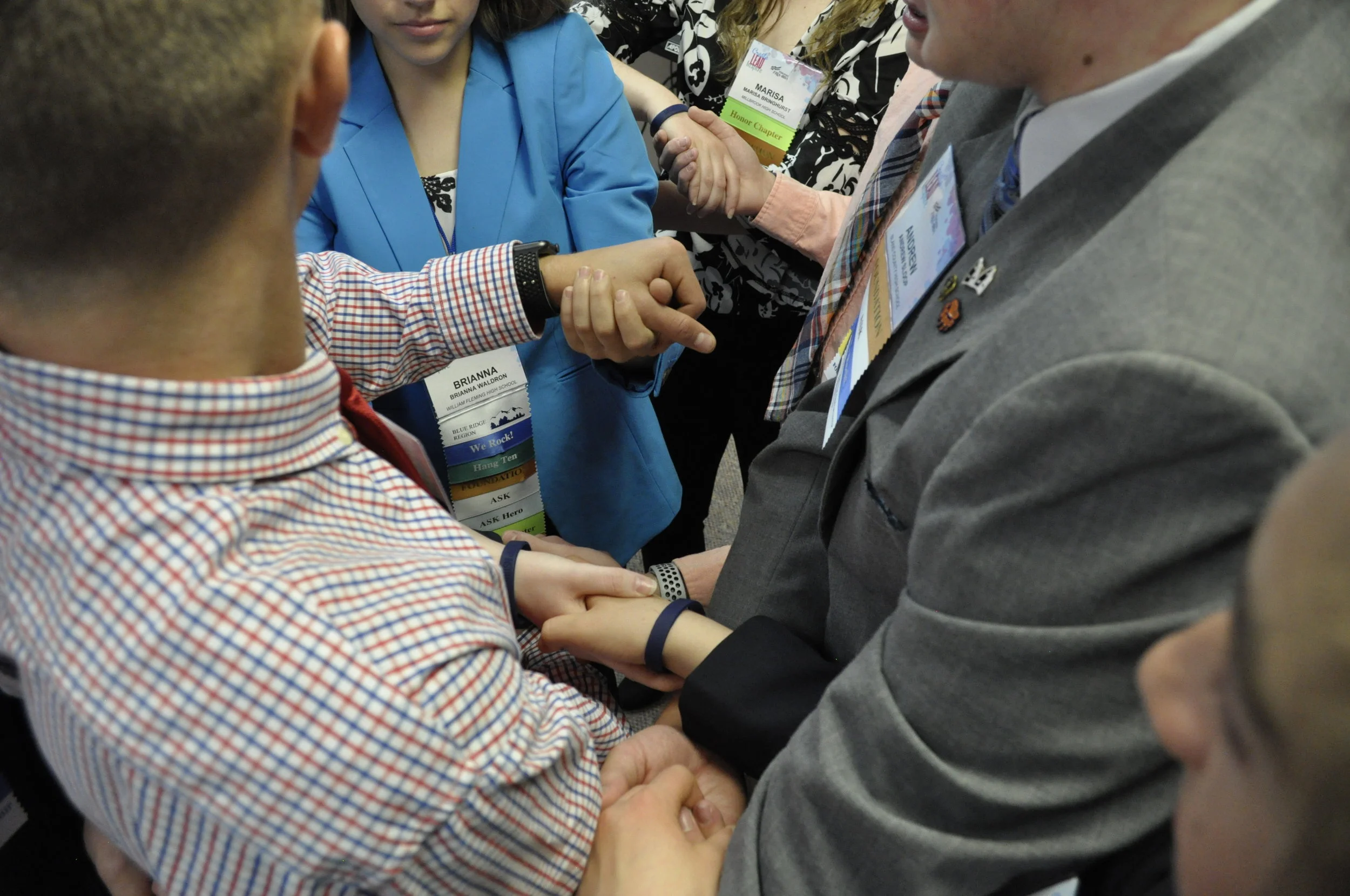 Collegiate — Virginia FBLA