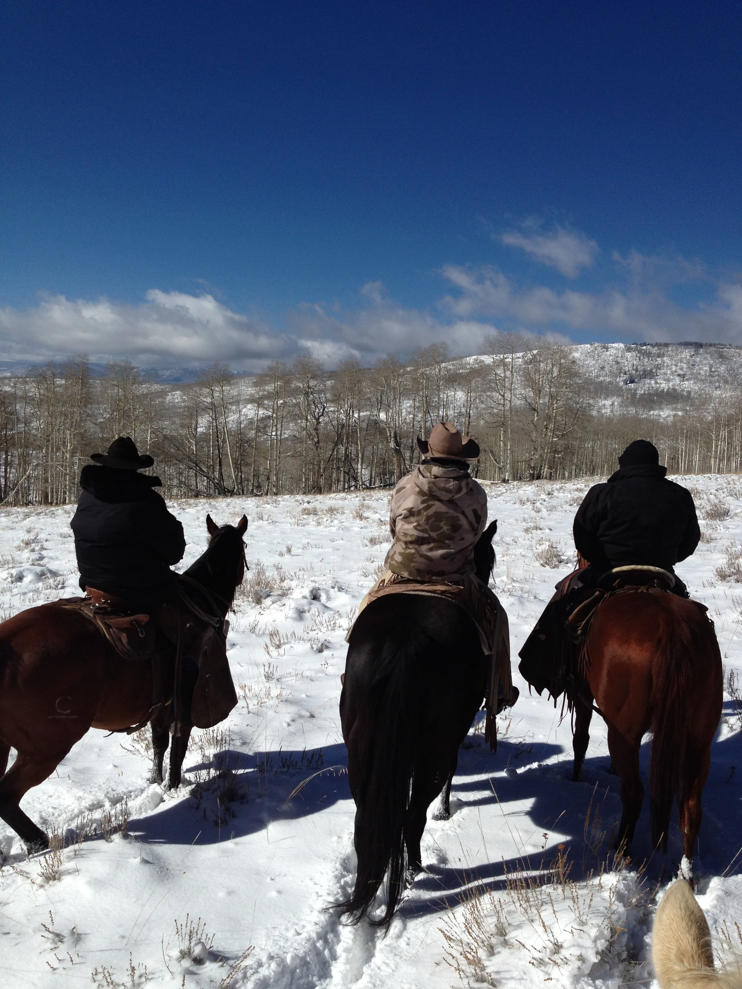 Graylight outfitters