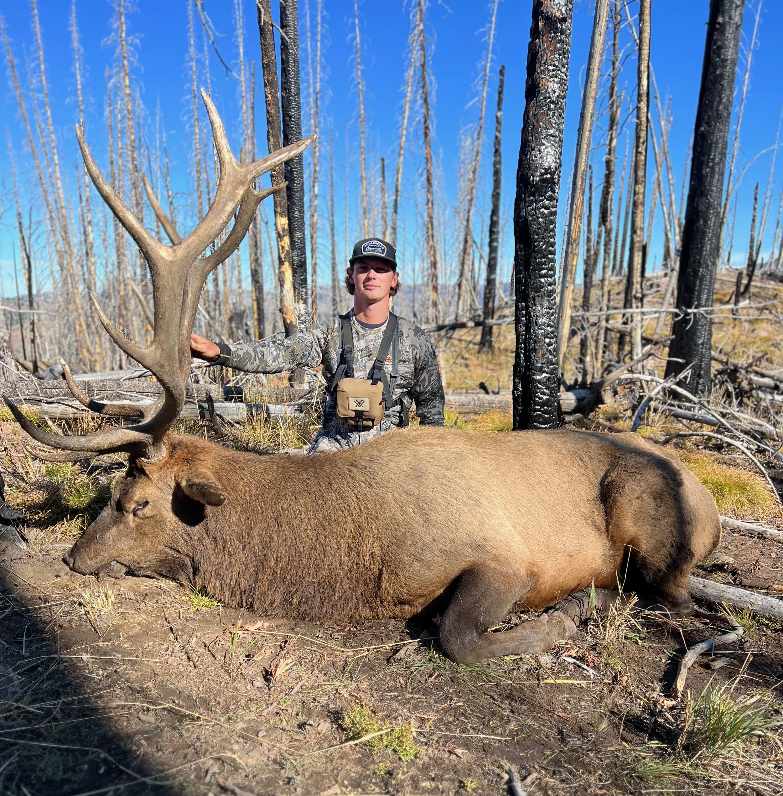 Wyoming wilderness elk hunting. — Graylight outfitters
