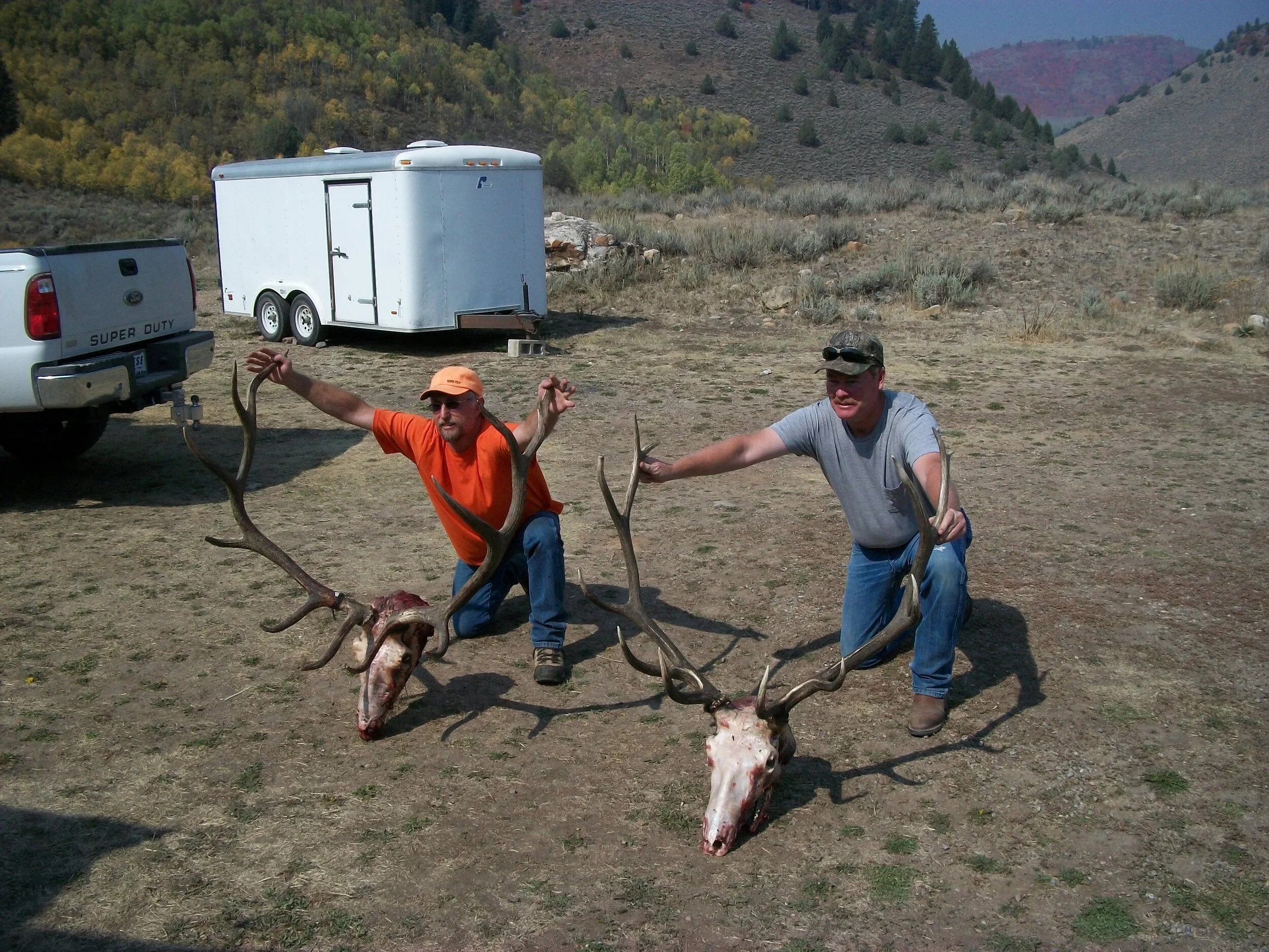 guided Utah elk hunting adventures — Graylight outfitters