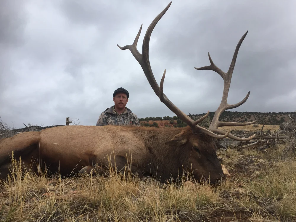 guided Utah elk hunting adventures — Graylight outfitters