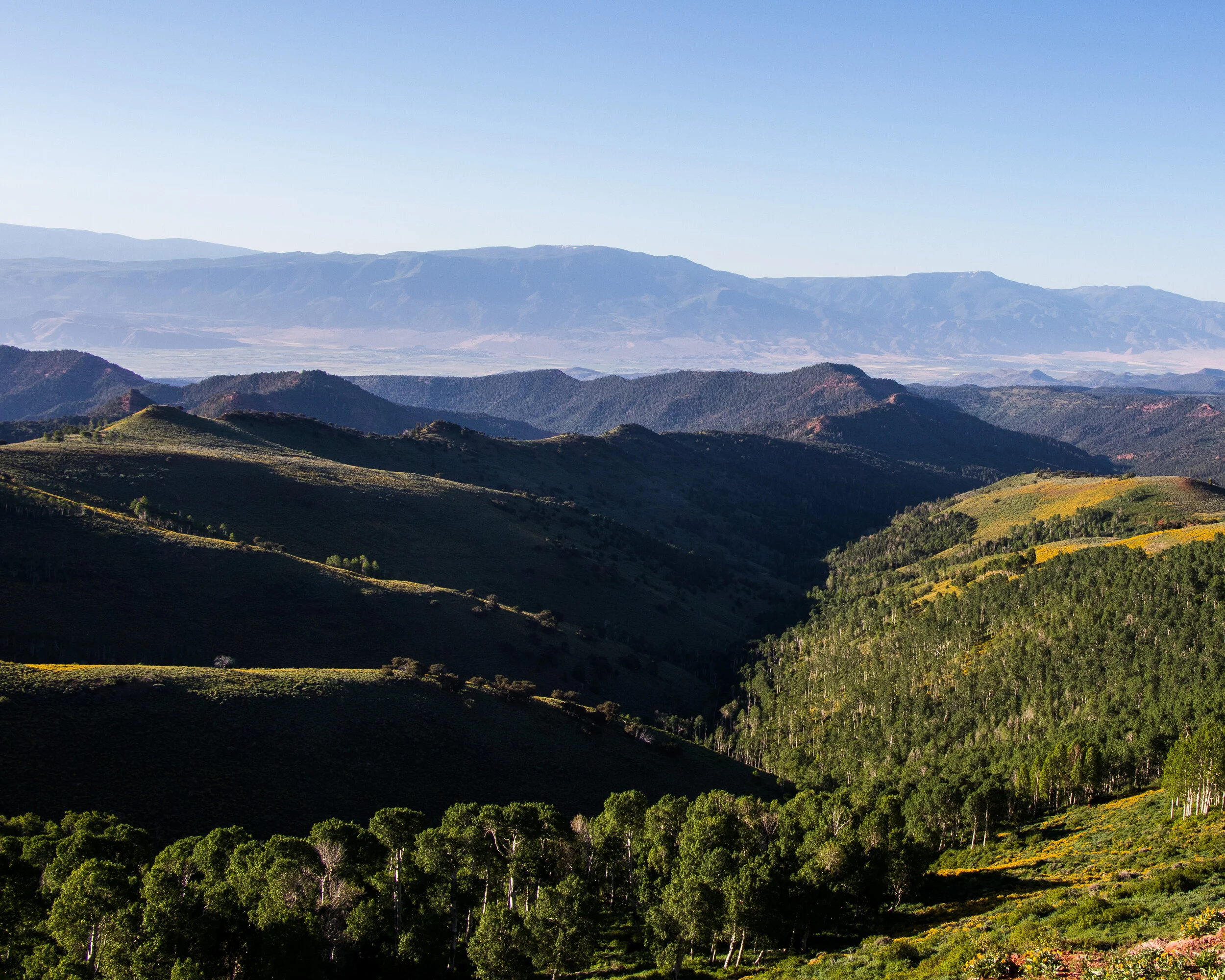 fillmore, pahvant elk — Graylight outfitters