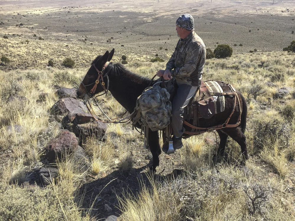 what to bring on your winter mountain lion hunts — Graylight outfitters