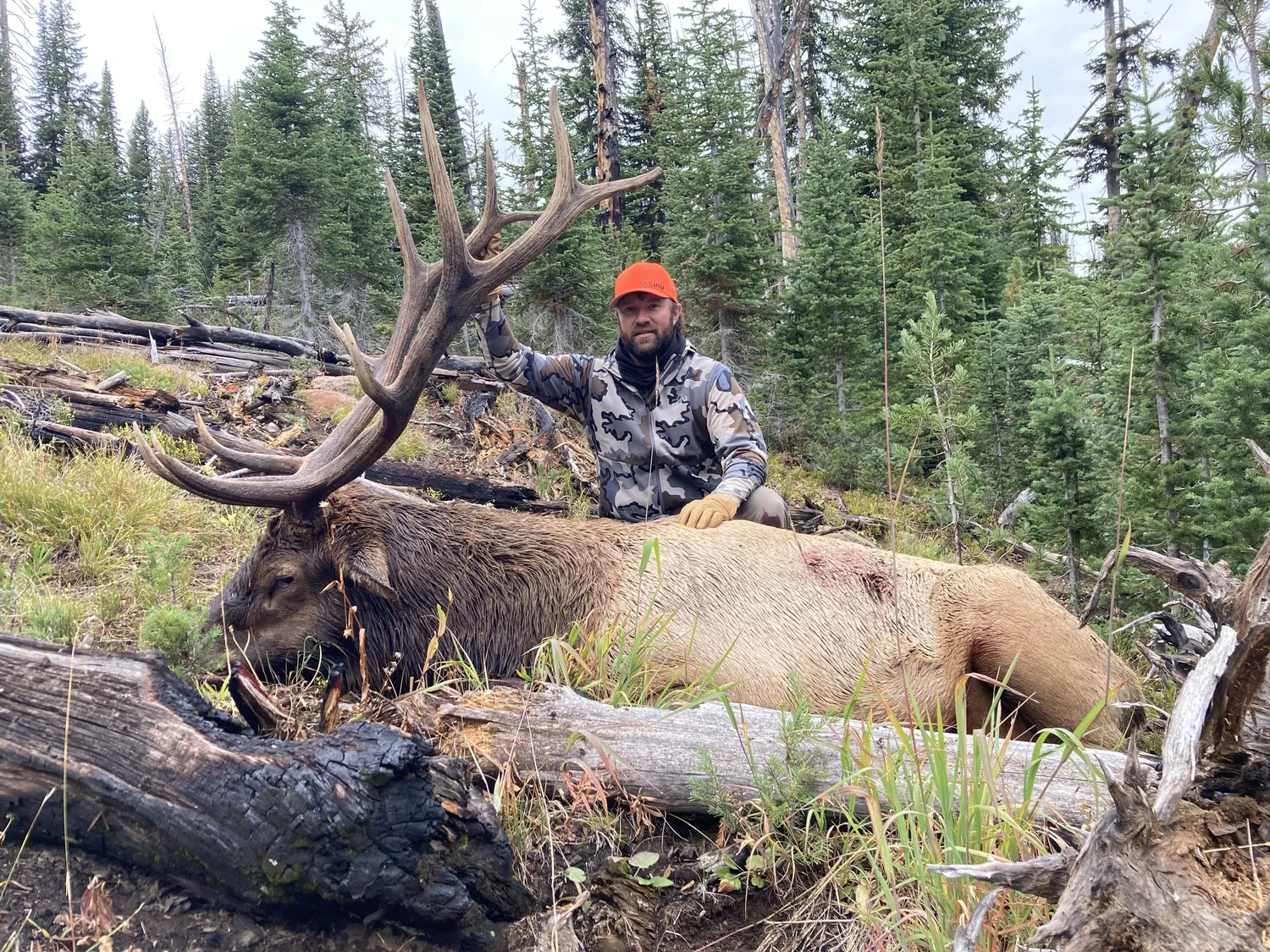 Wyoming Elk Hunting in Unit 60 – The Thorofare Wilderness — Graylight ...