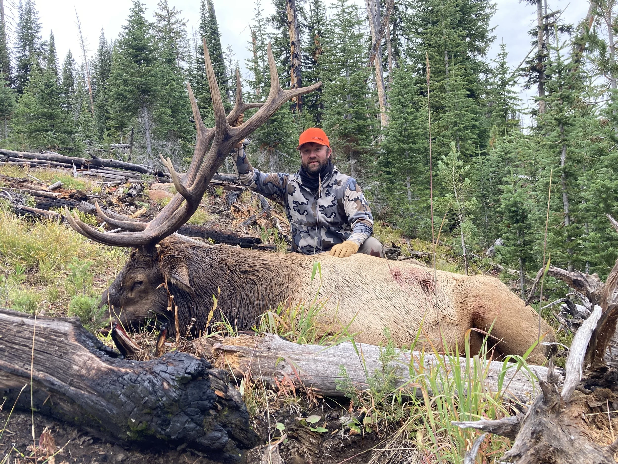 Wyoming Elk Hunting in Unit 60 – The Thorofare Wilderness — Graylight ...