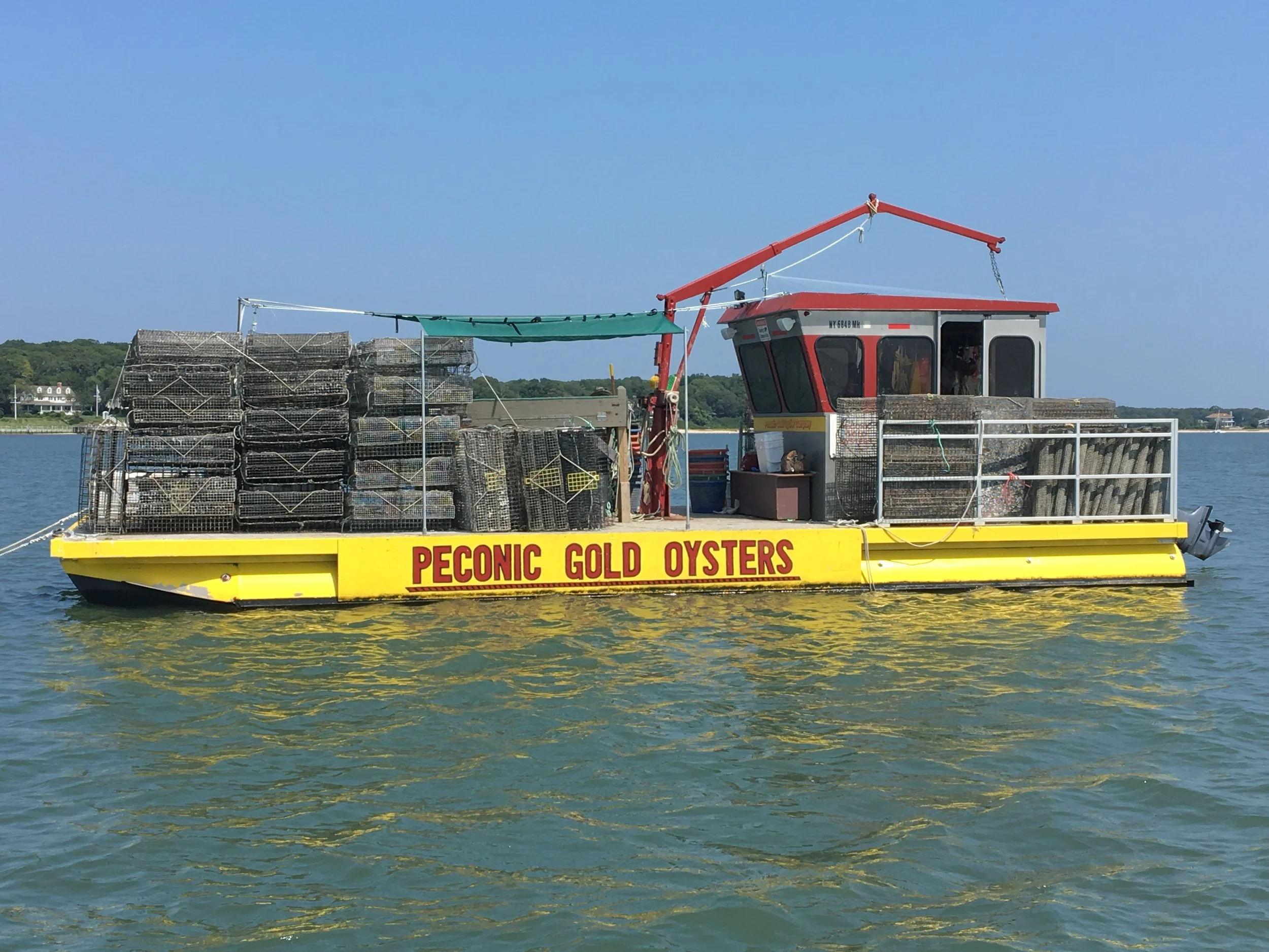 Peconic Gold Oysters - Our Farm — Peconic Gold Oysters