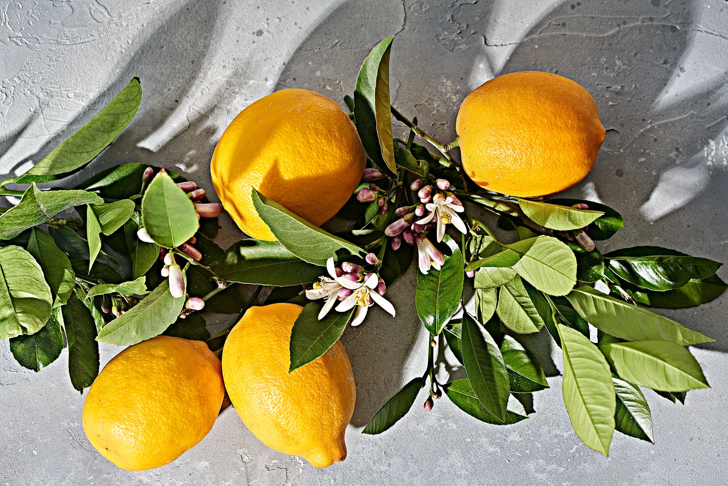 Los Angeles Food Photographer Crystal Cartier — Crystal Cartier | Los ...