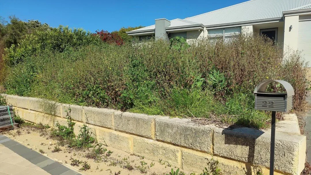 Landscaping Perth and Northern Suburbs | Low Maintenance Gardens