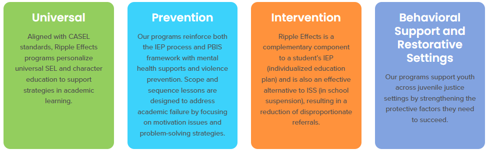 Ripple Effects — Educational Technology Consultants