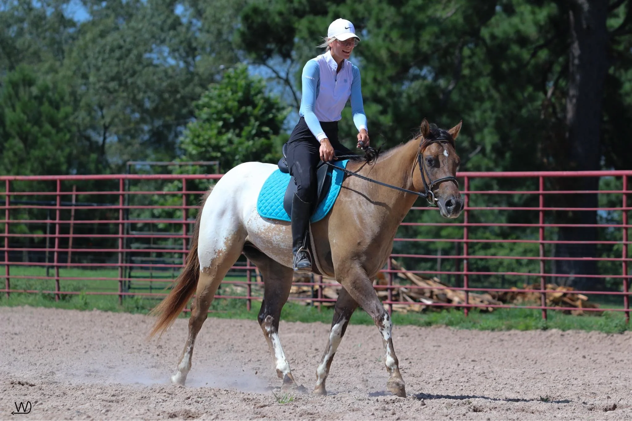 Westbound Marketing Horses — Westbound Marketing