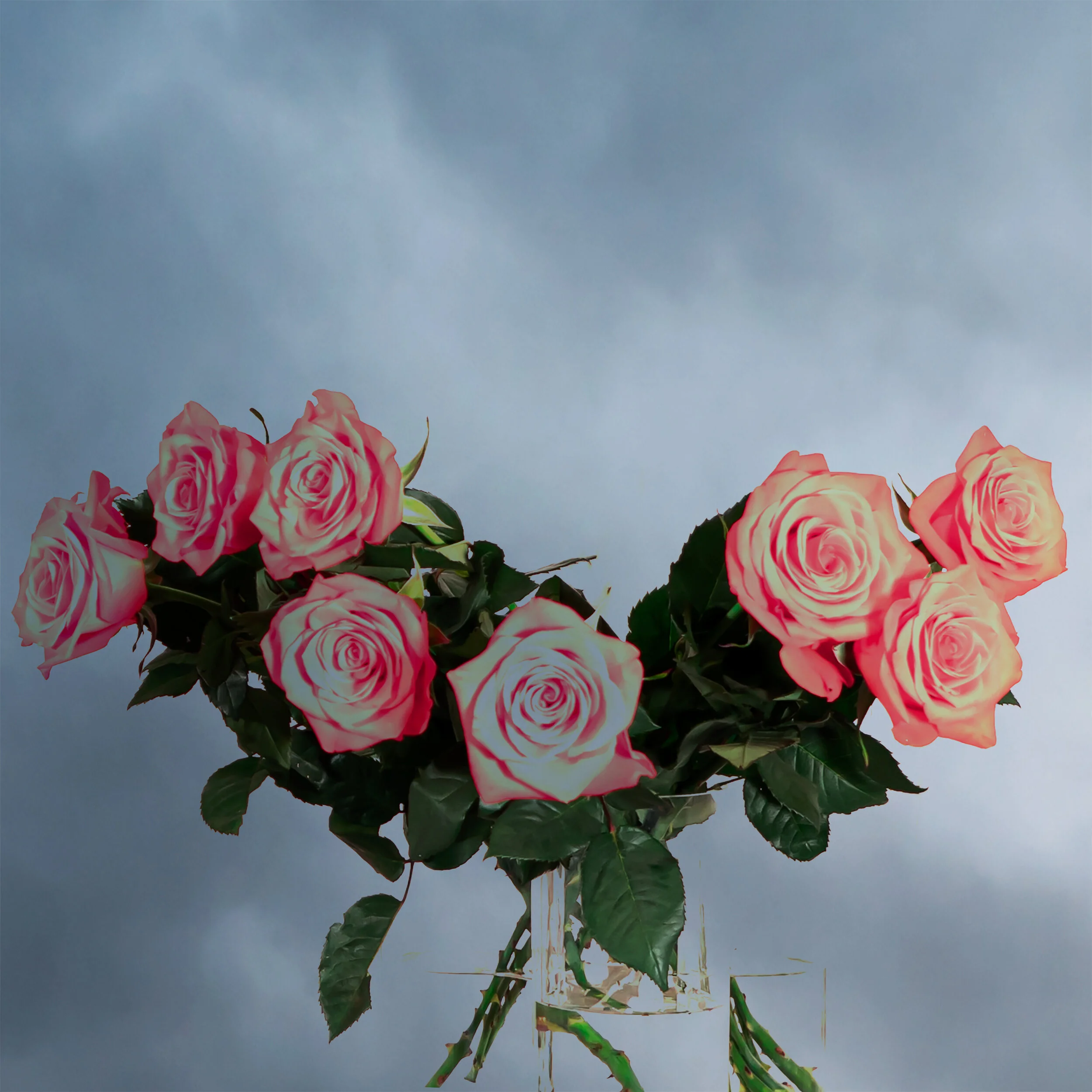 Jacqui Hunt — Qusp