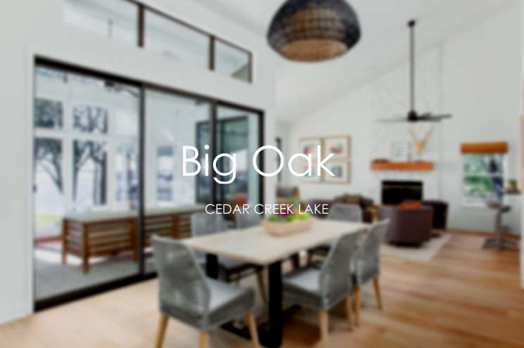 PROJECTS — lisa robison